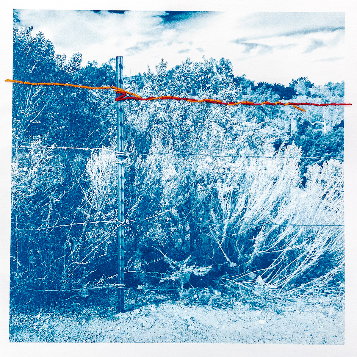 Singular Images: 15 years of random thoughts on Art and Photography ...