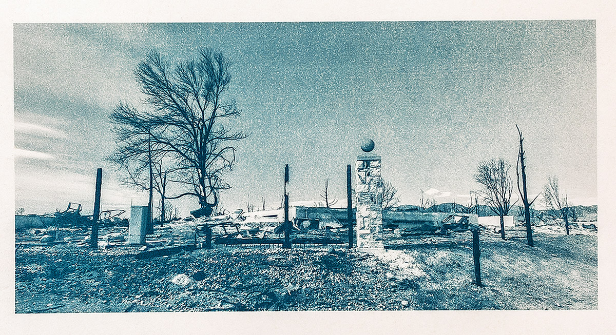 Cyanotype print toning – Coffee toner – Singular Images